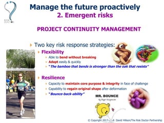 David Hillson APM RISK MANAGEMENT SIG CONFERENCE | PPT