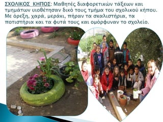 Αειφόρο Σχολείο- 9ο ΔΣ Μεγάρων | PDF