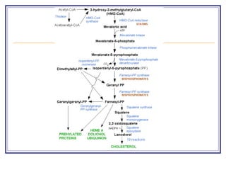 9.hyperlipidemi | PPT