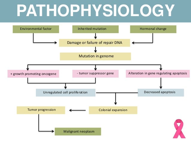 Benign and Malignant Breast Diseases