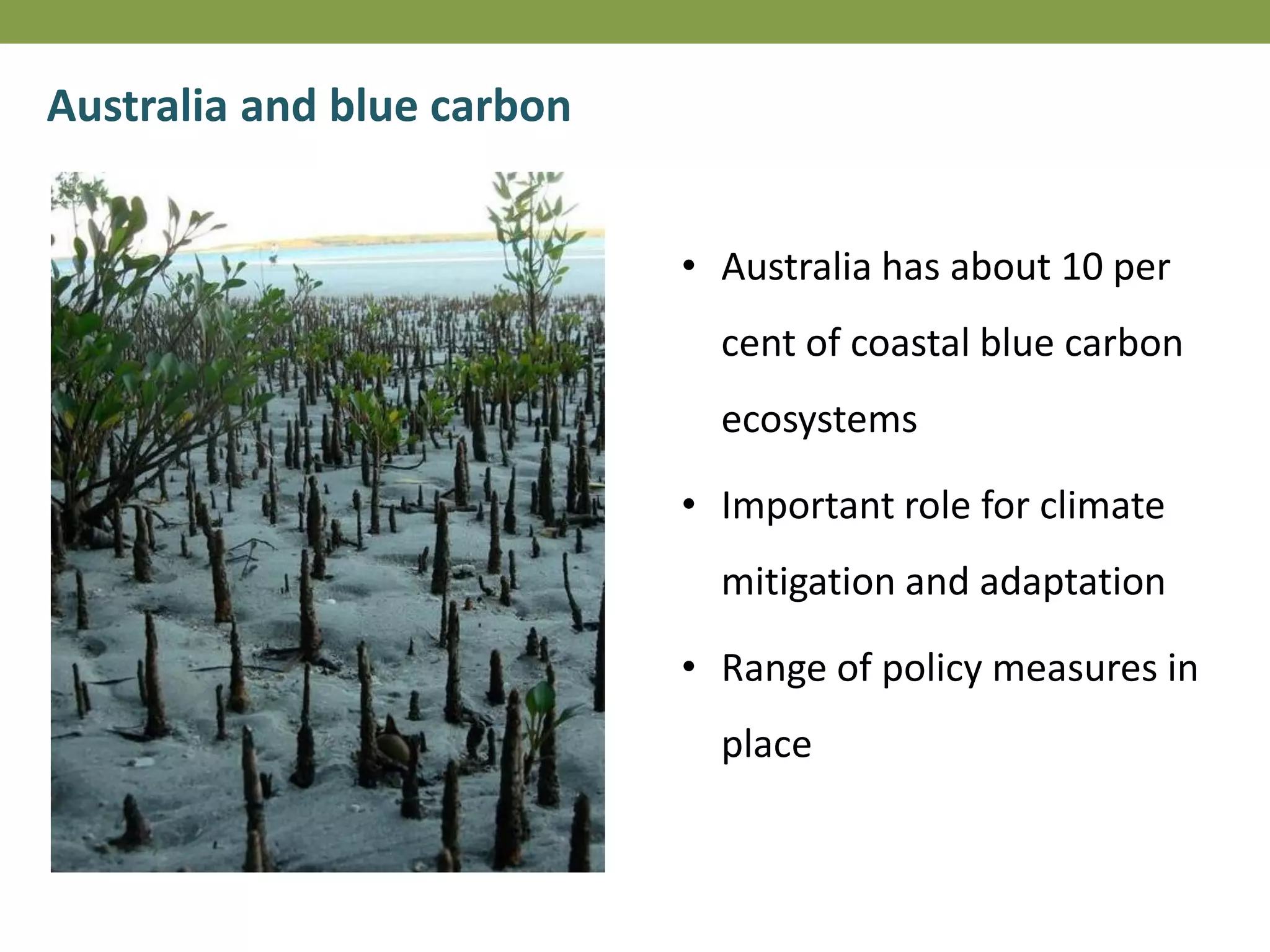 Mangroves and blue carbon | PDF