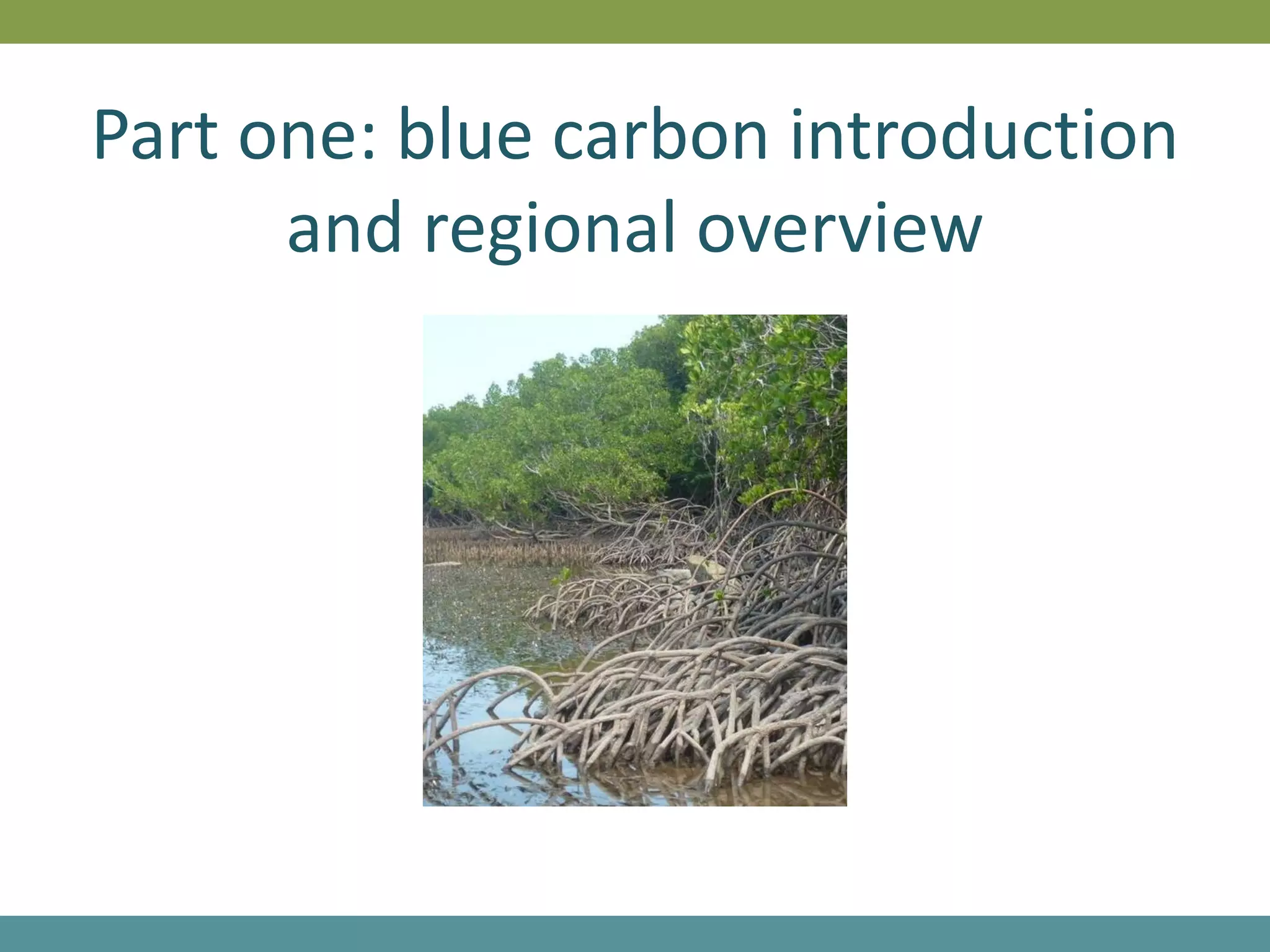 Mangroves and blue carbon | PDF