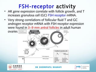 Androgens and Ovarian Response | PPT