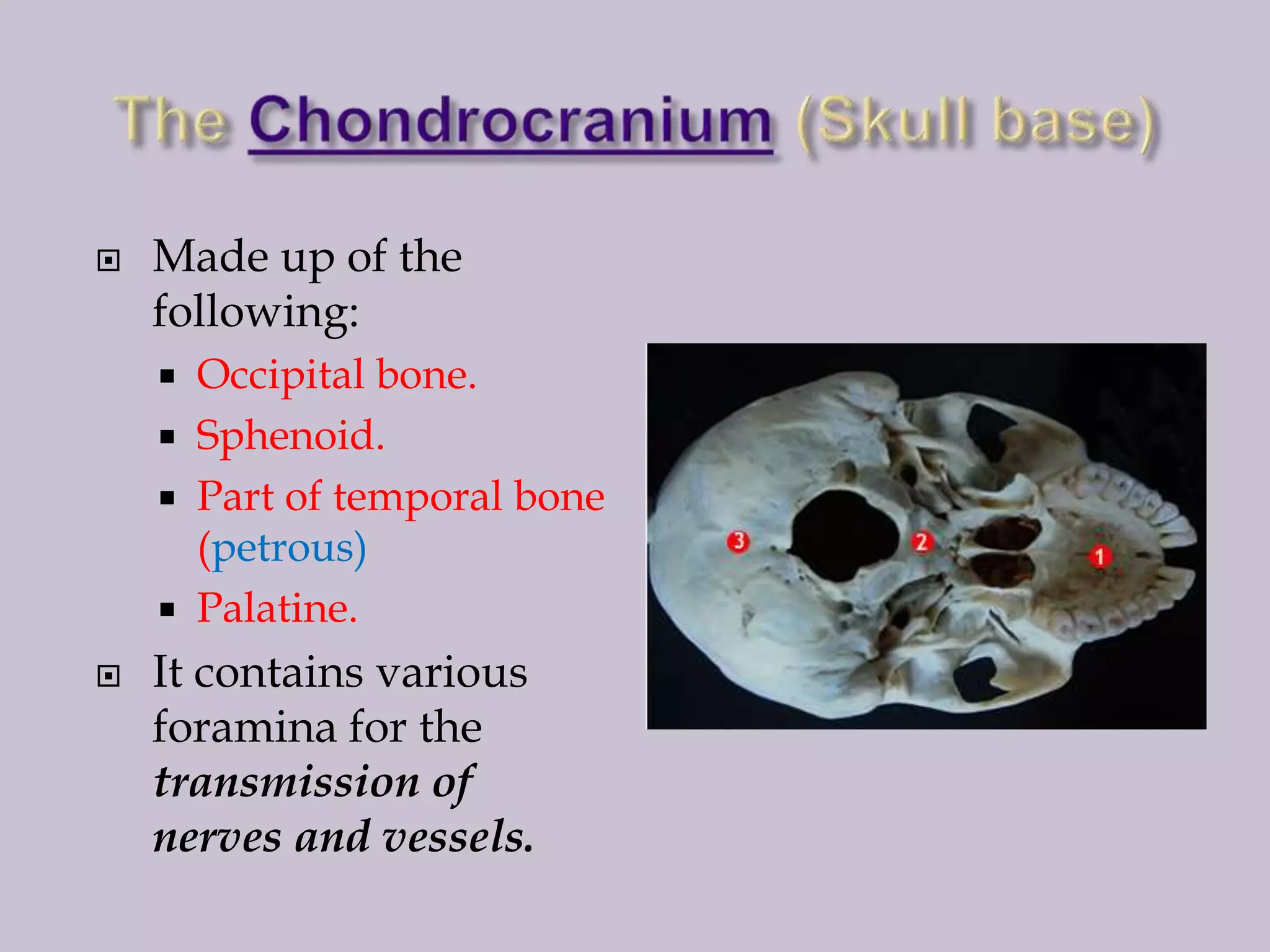 9.the skull,scalp, face, and cranial cavity.pptx