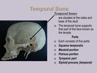 9.the skull,scalp, face, and cranial cavity.pptx