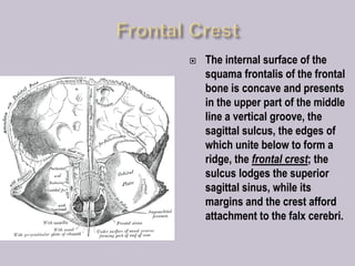 9.the skull,scalp, face, and cranial cavity.pptx