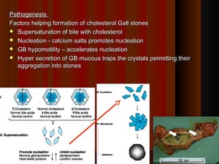 9.gall bladder | PPT