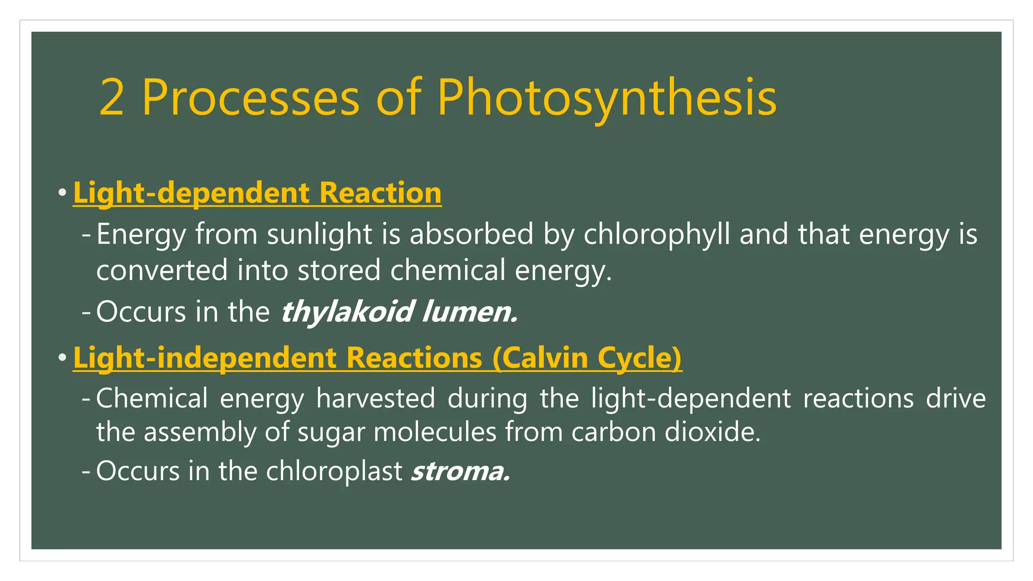 BIOENERGETICS | PPTX