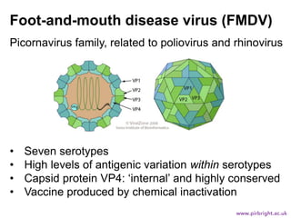 A universal test to quantitate protective antigen during production of ...