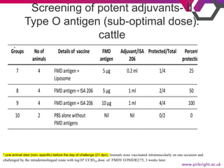 Improving the duration of immunity for FMD vaccines (S. Parida) | PPT