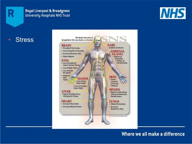 Neal Jones - Maternity and Neonatal Learning System: Patient Safety ...
