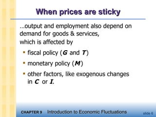 MACROECONOMICS-CH9 | PPT | Commodities | Economy