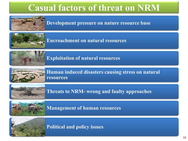 9.cl 14 15 natural resource management | PPTX | Agriculture | Industries