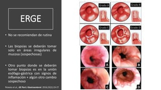 Biopsia por endoscopia | PPTX