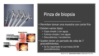 Biopsia por endoscopia | PPTX