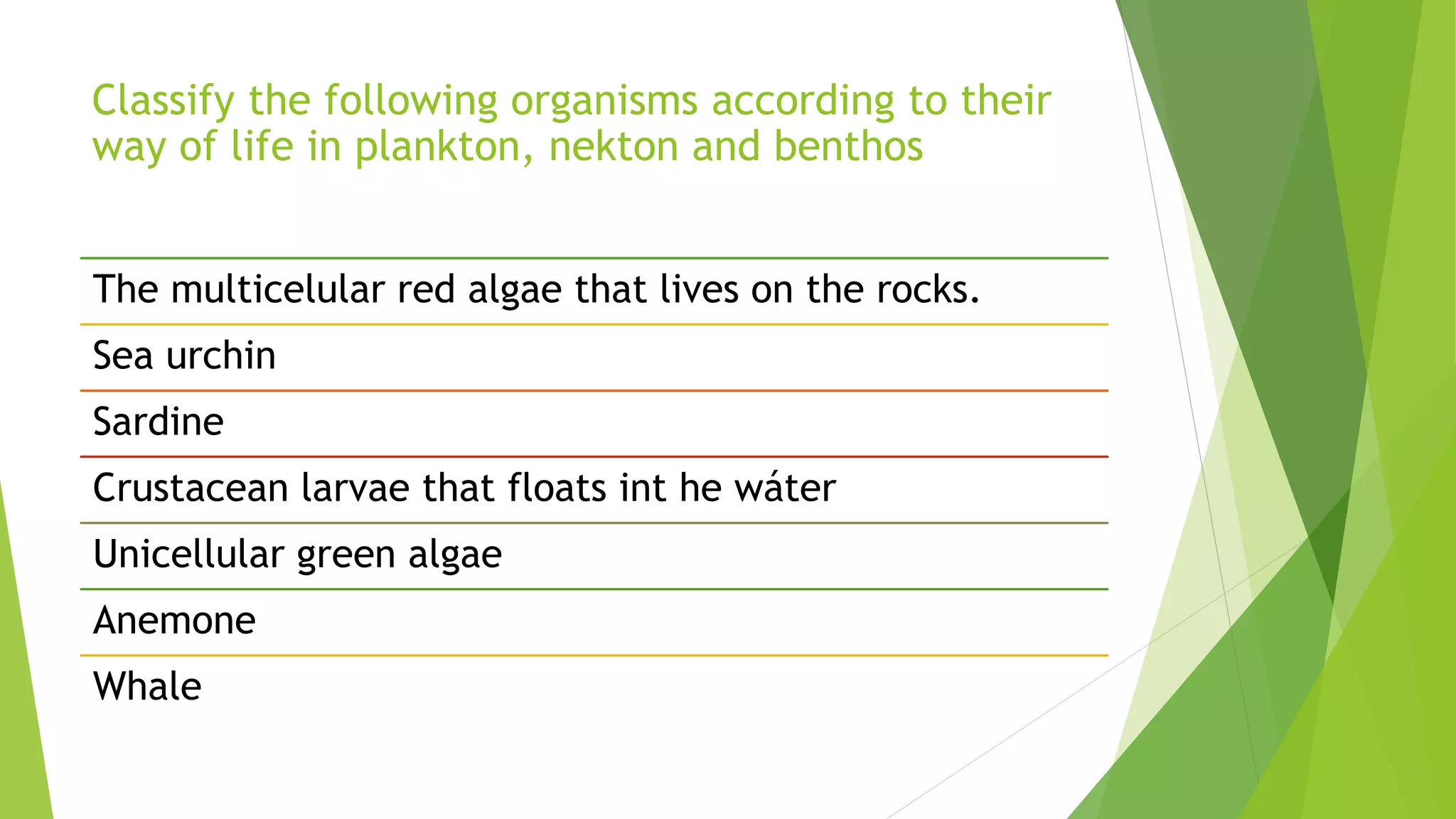 9. ecosystems | PPTX