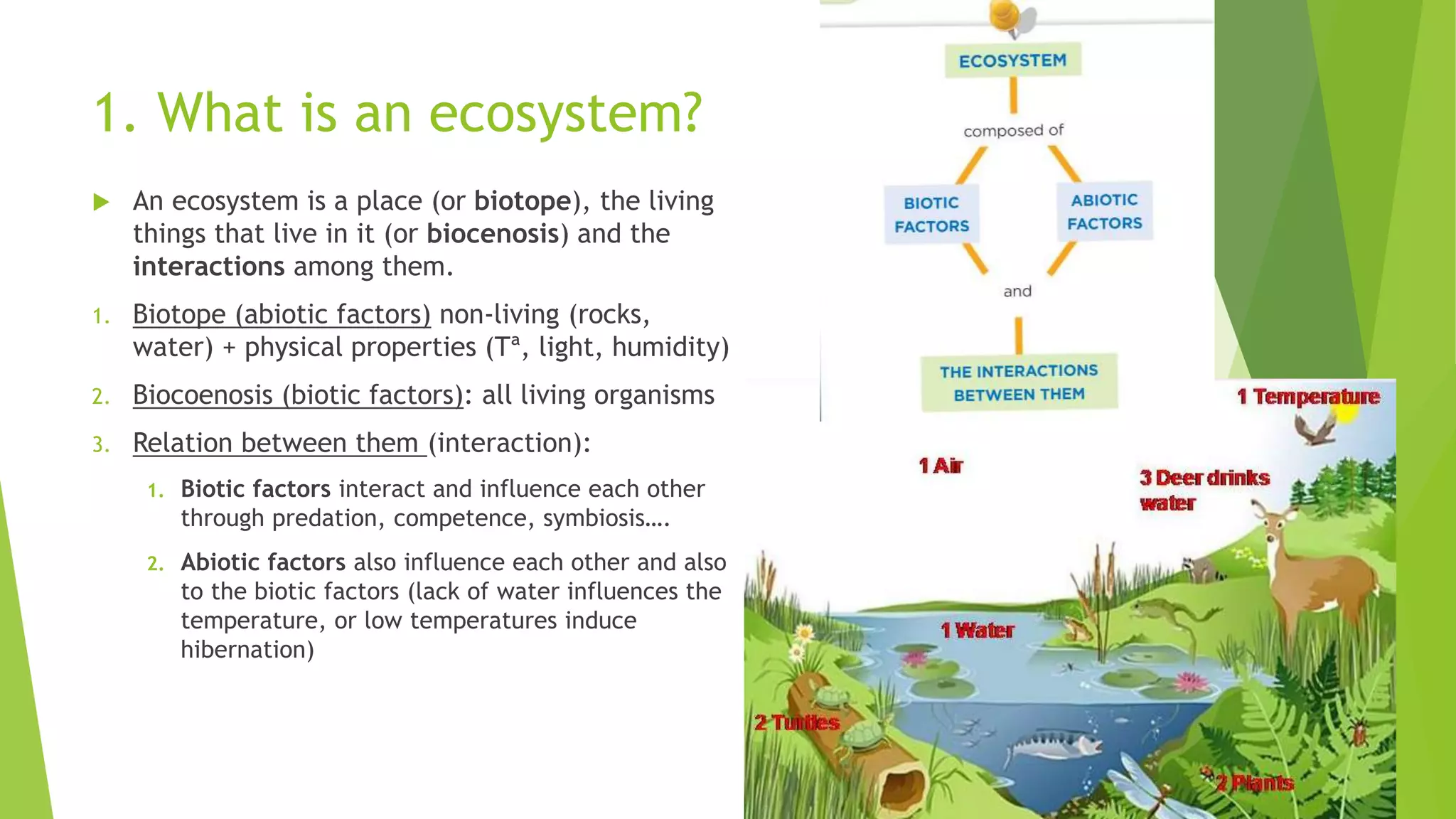 9. ecosystems | PPTX