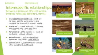 9. ecosystems | PPTX