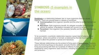 9. ecosystems | PPTX