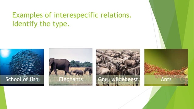 9. ecosystems | PPTX | Geography | Science
