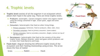 9. ecosystems | PPTX