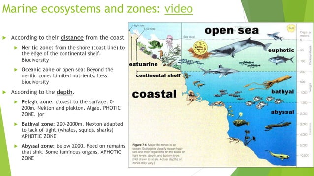 9. ecosystems | PPTX | Geography | Science