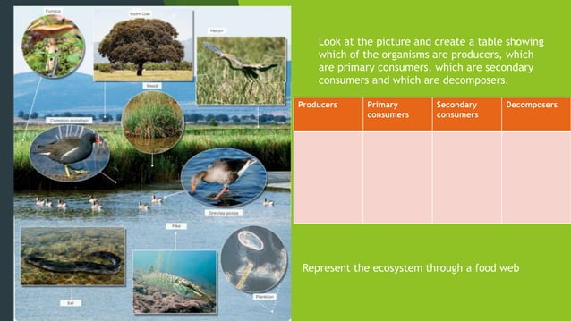 9. ecosystems | PPTX | Geography | Science