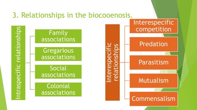 9. ecosystems | PPTX | Geography | Science