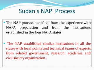 9.1 Sudan National Adaptation Plan | PDF