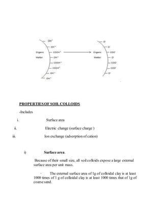 SOIL CHEMISTRY | DOCX