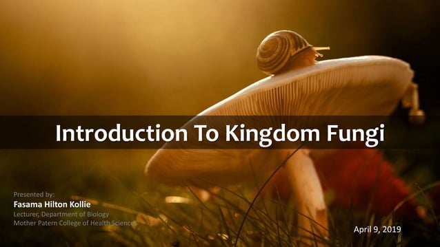 mikologi (introduction kingdom fungi.pdf