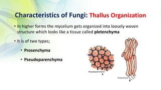 mikologi (introduction kingdom fungi.pdf