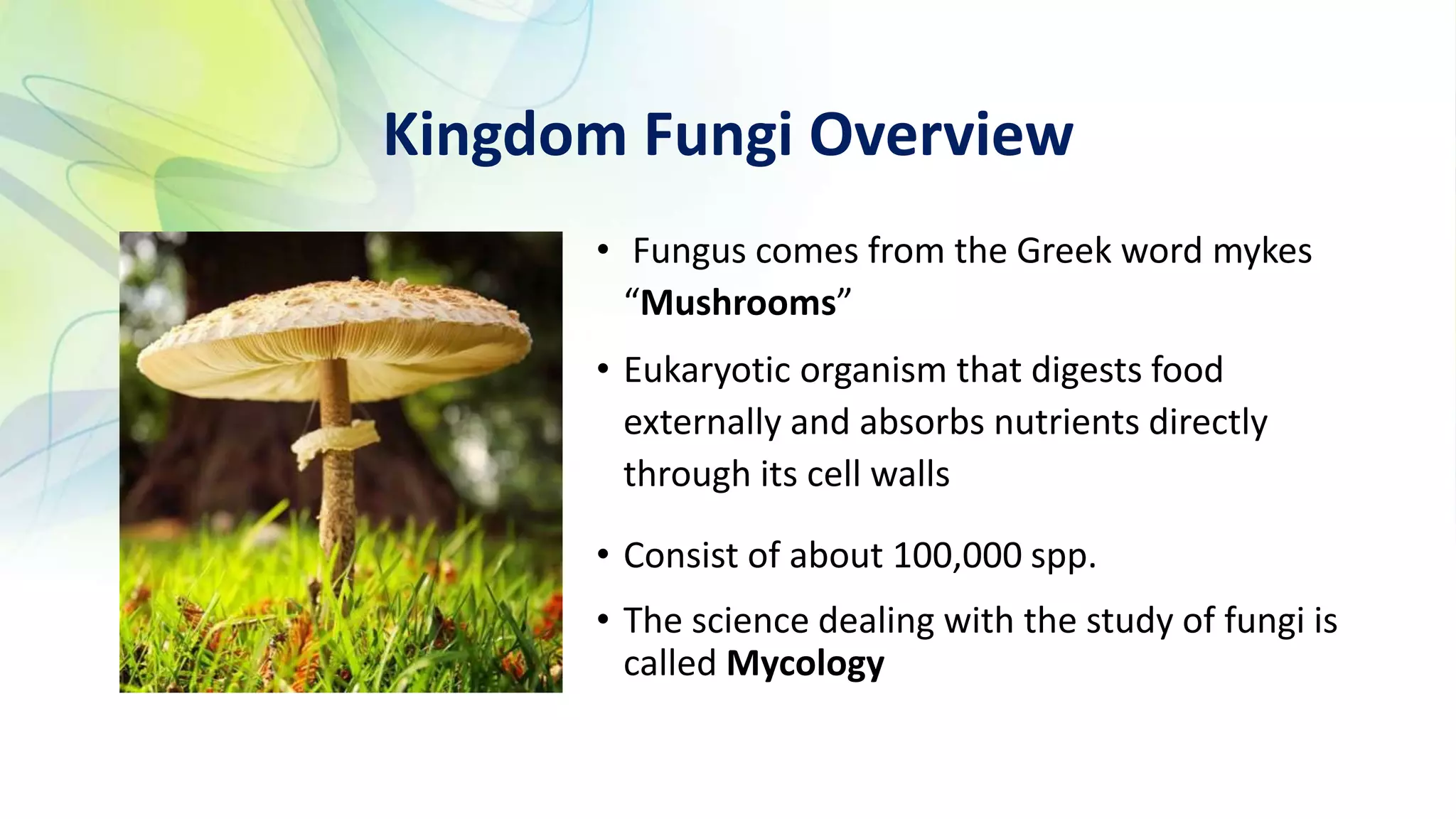 9. introduction to kingdom fungi | PPTX