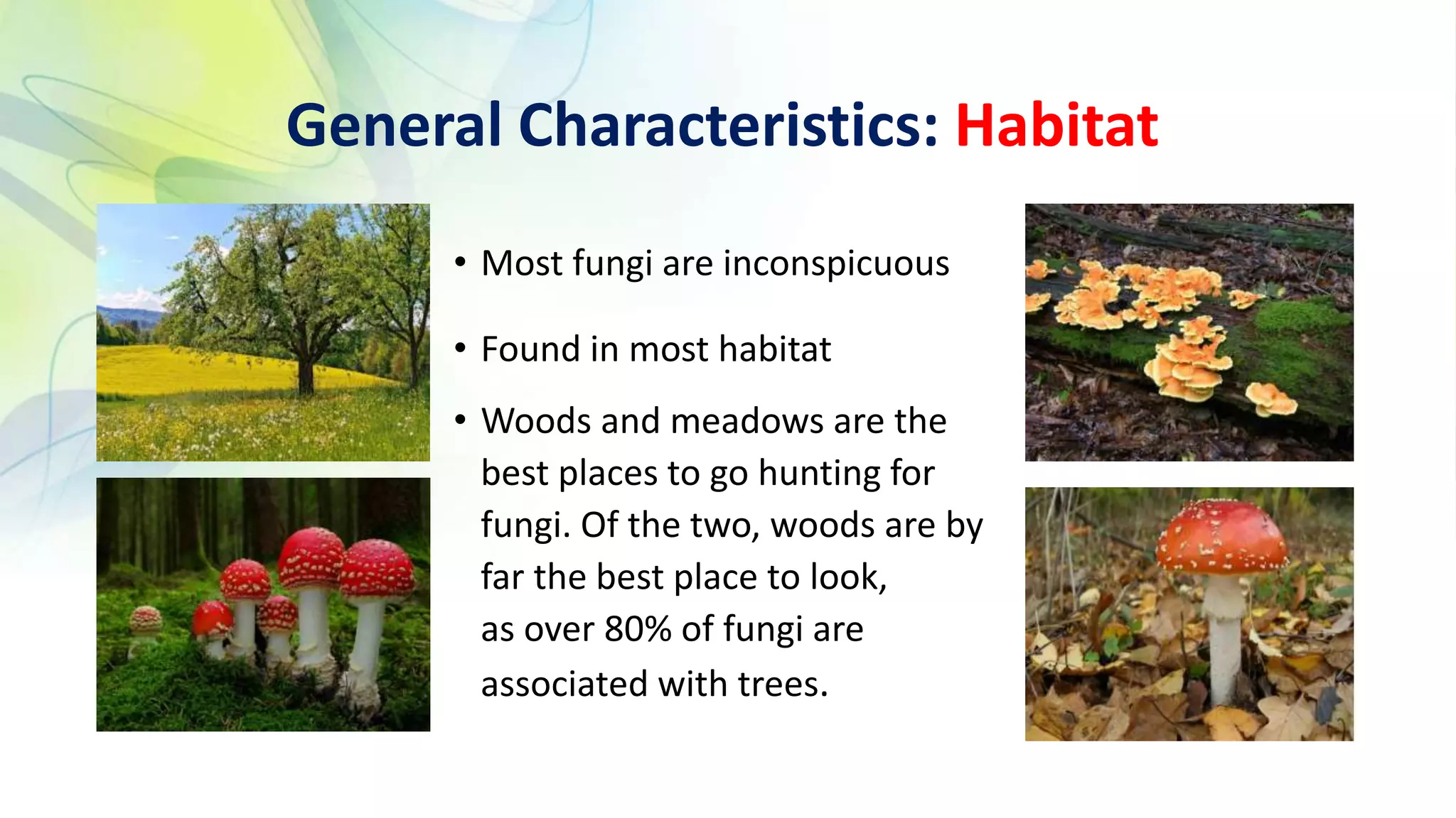 9. introduction to kingdom fungi | PPTX