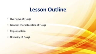 9. introduction to kingdom fungi | PPTX