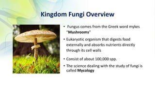 9. introduction to kingdom fungi | PPTX
