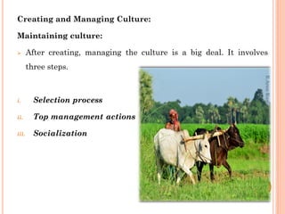 Types and elements of organization culture | PDF
