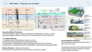 Methane in Coastal Blue Carbon Ecosystem | PDF | Chemistry | Science