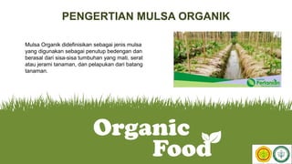 Pertanian Ramah Lingkungan Dengan Menggunakan Mulsa Organik | PPTX