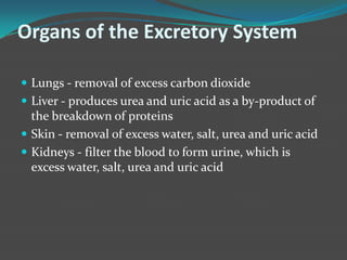 9 1. Human Excretion System | PPTX
