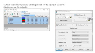 Remote Sensing: Image Classification | PPTX