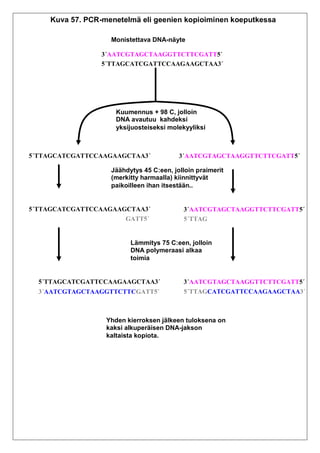 Solubiologian tutkimusmenetelmiä | PDF