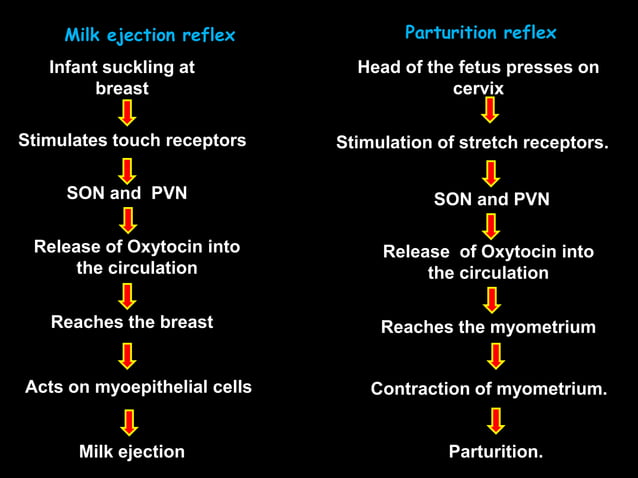 Physiology of Parturition & Lactation | PPTX