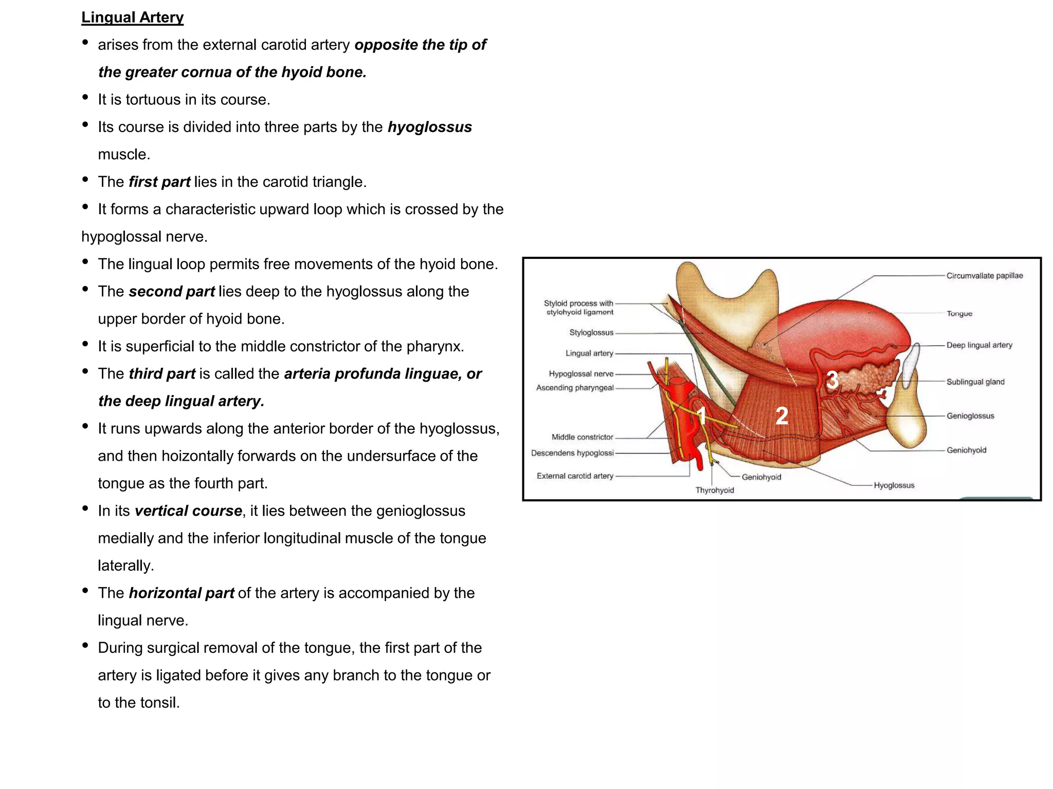 Arteries of carotid triangle | PPTX