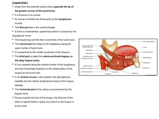 Arteries of carotid triangle | PPTX