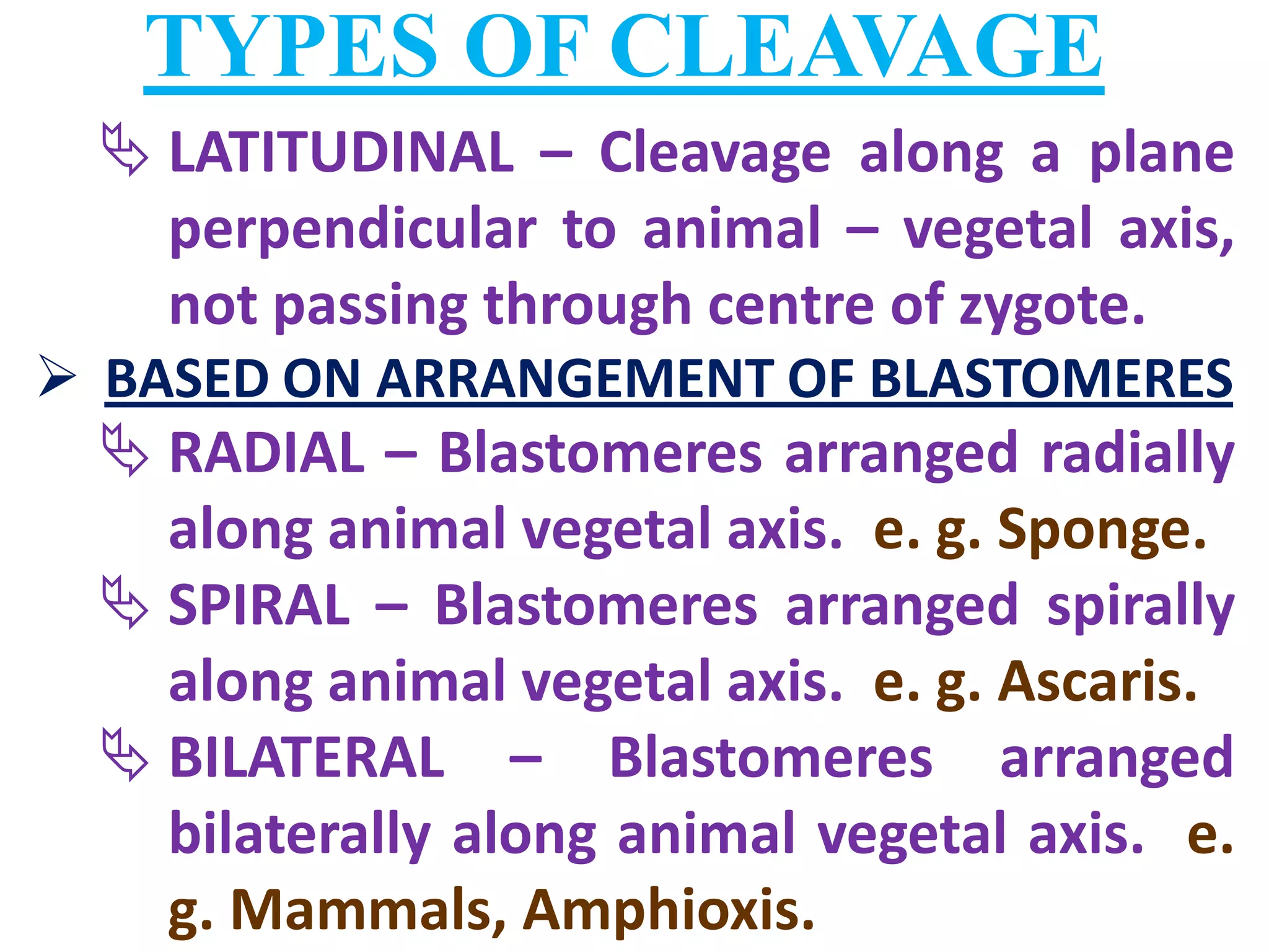 Cleavage to Three Germ Layers | PDF