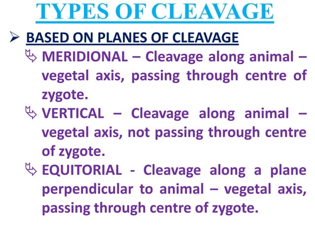 Cleavage to Three Germ Layers | PPT