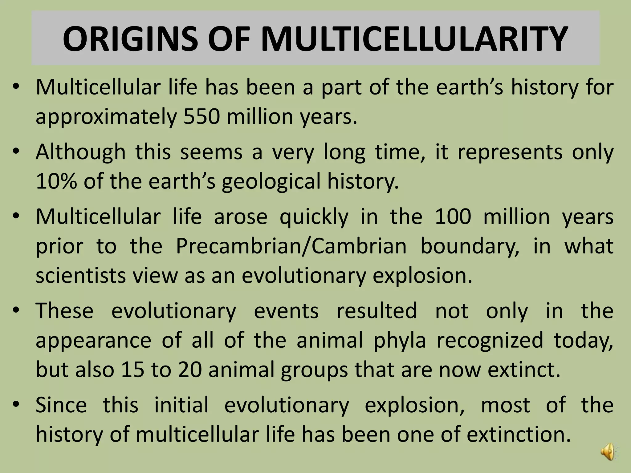 9. origins of multicellularity & phylum porifera part I in clear ...