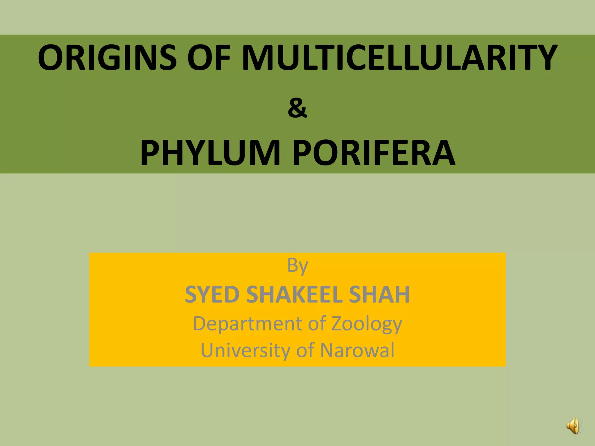 9. origins of multicellularity & phylum porifera part I in clear ...