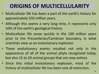 9. origins of multicellularity & phylum porifera part I in clear ...